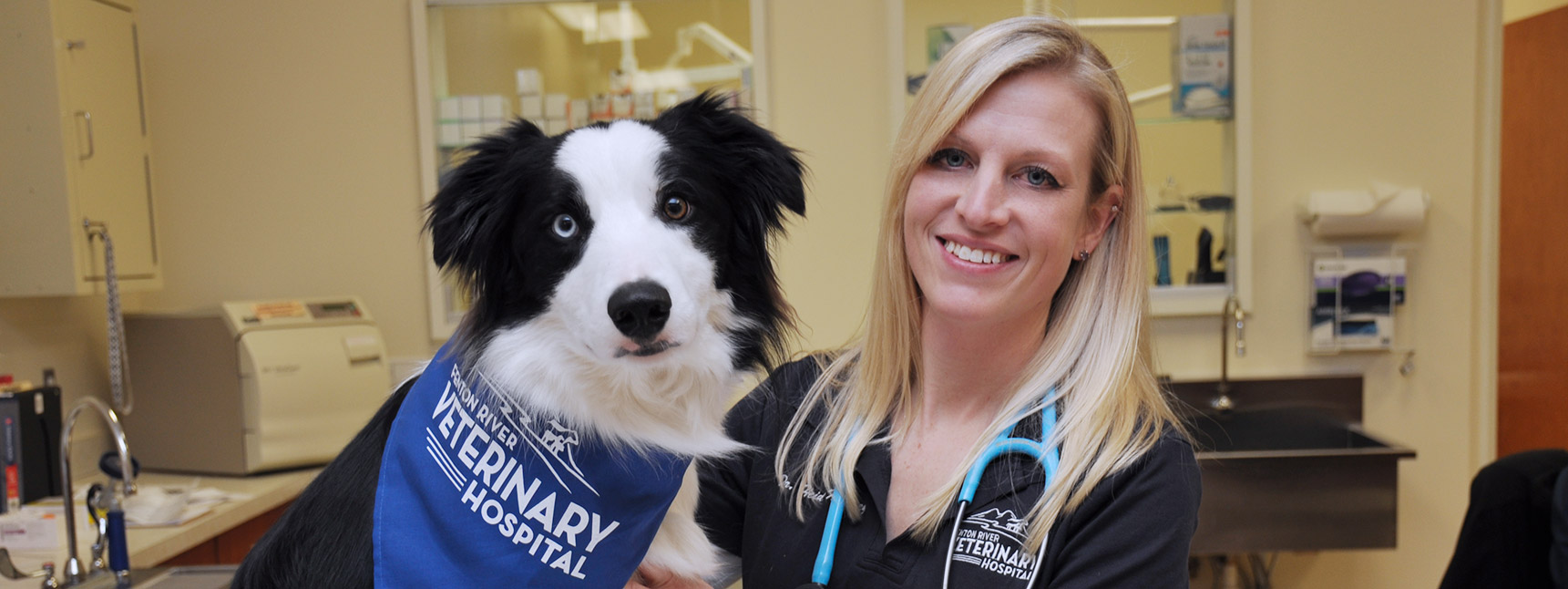 Fenton River Veterinary Hospital | Tolland | Stafford Springs | CT